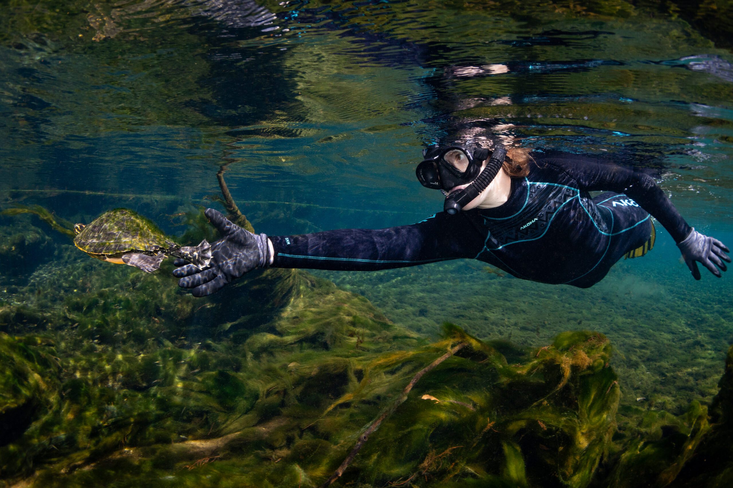 Volunteer Science - Turtle Survival Alliance