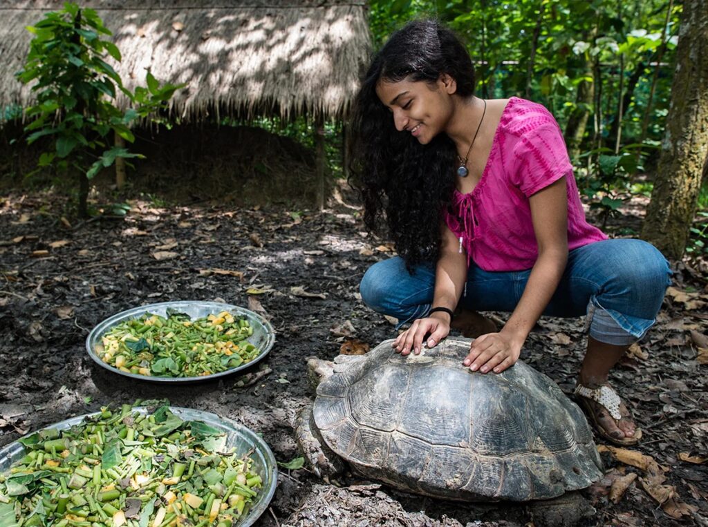 Bangladesh - Turtle Survival Alliance