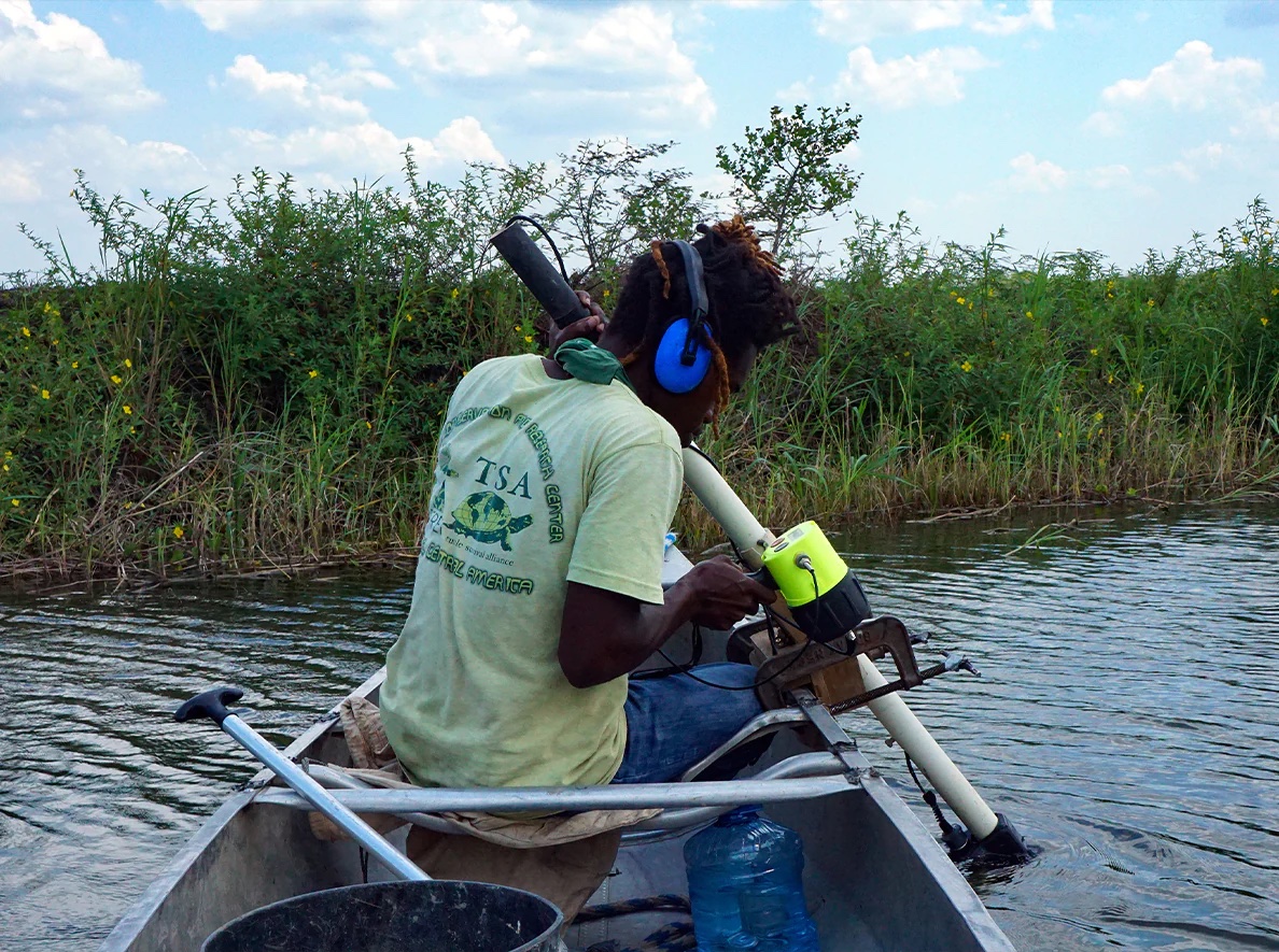 Belize - Turtle Survival Alliance