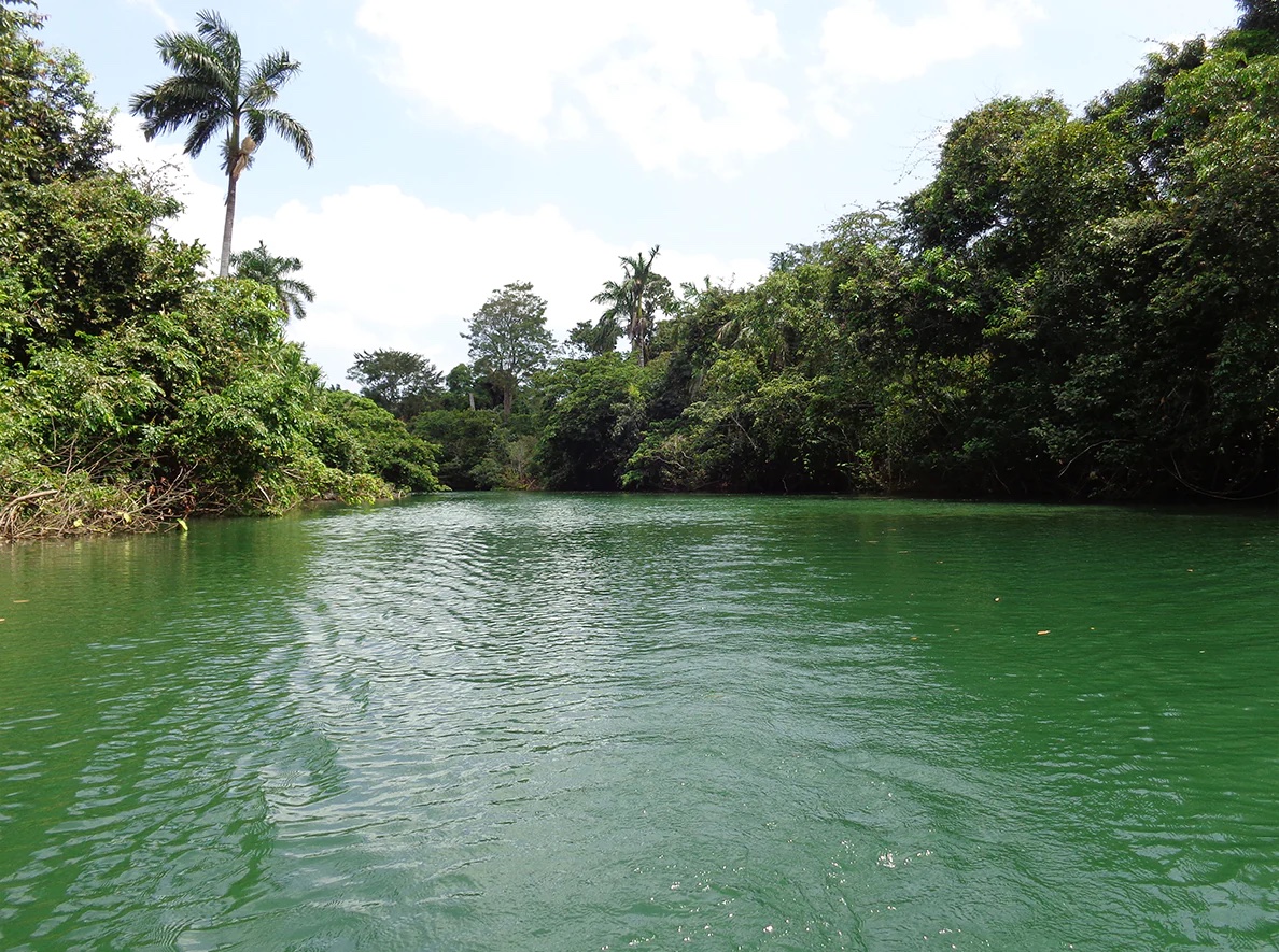 Belize - Turtle Survival Alliance