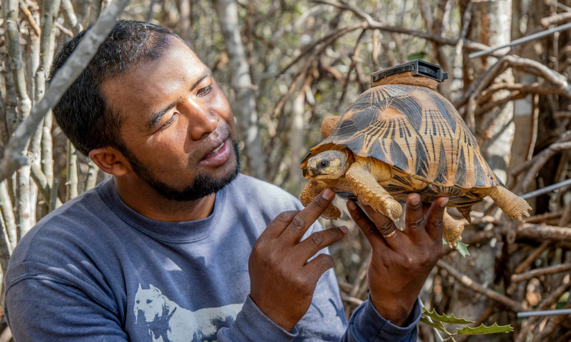 Madagascar - Turtle Survival Alliance