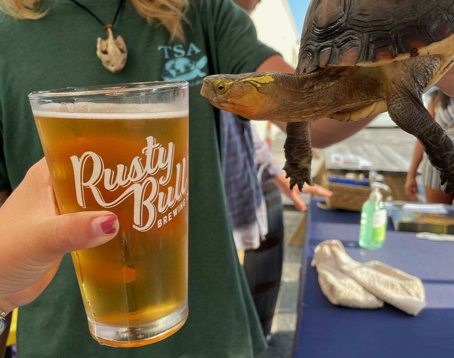 Drink Beer Save Turtles® - Turtle Survival Alliance