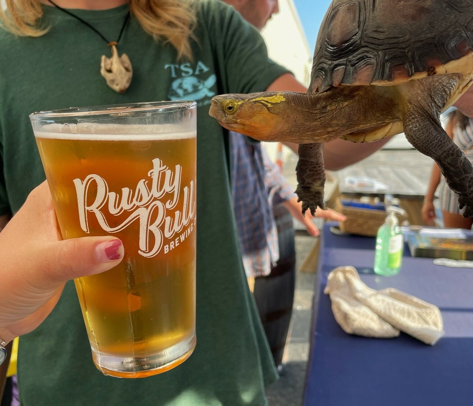 Drink Beer Save Turtles® - Turtle Survival Alliance