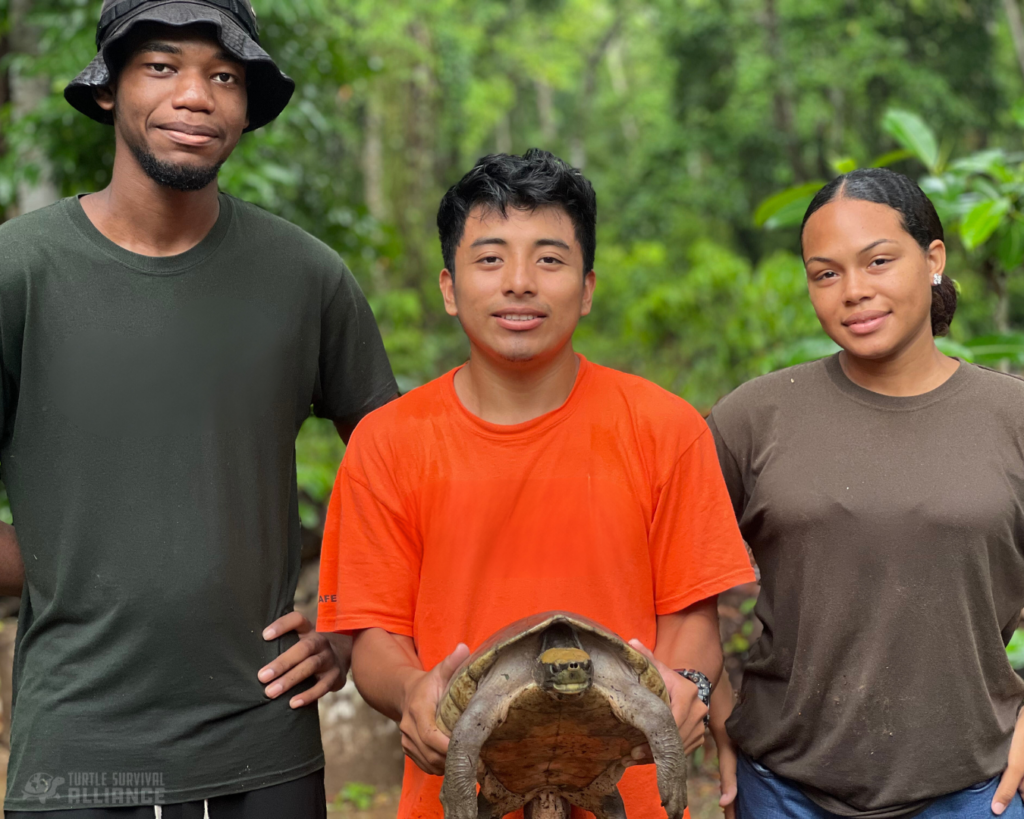 Turtle Survival Alliance | We Protect Turtles