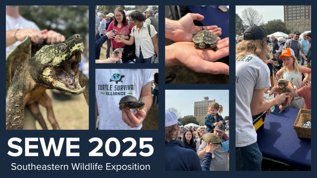 SEWE 2025: Southeastern Wildlife Exposition - Turtle Survival Alliance