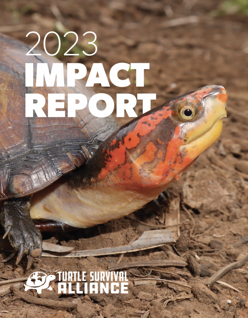 Publications - Turtle Survival Alliance