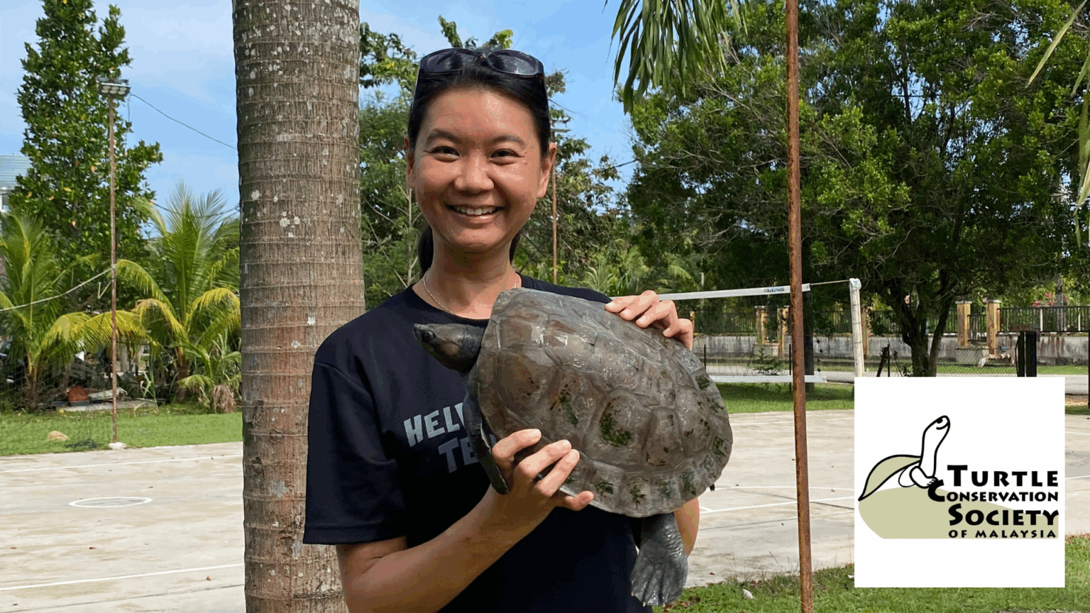 Webinar: The Terrapin Guardians of Malaysia - Turtle Survival Alliance