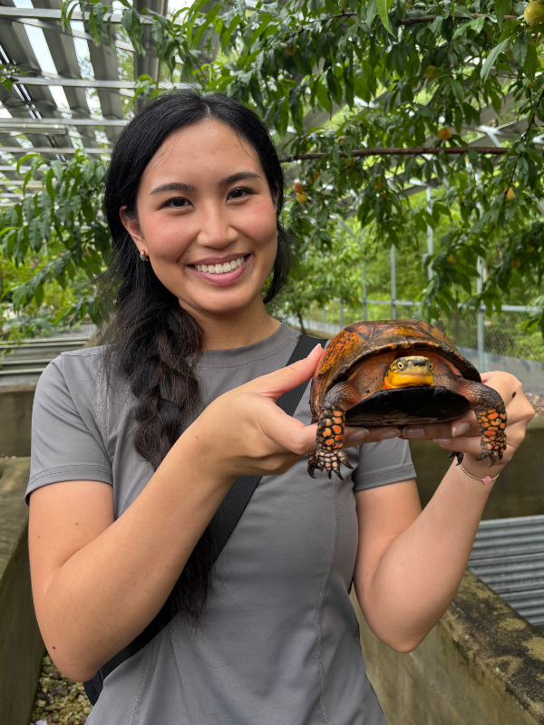 Vanessa Ambas - Turtle Survival Alliance