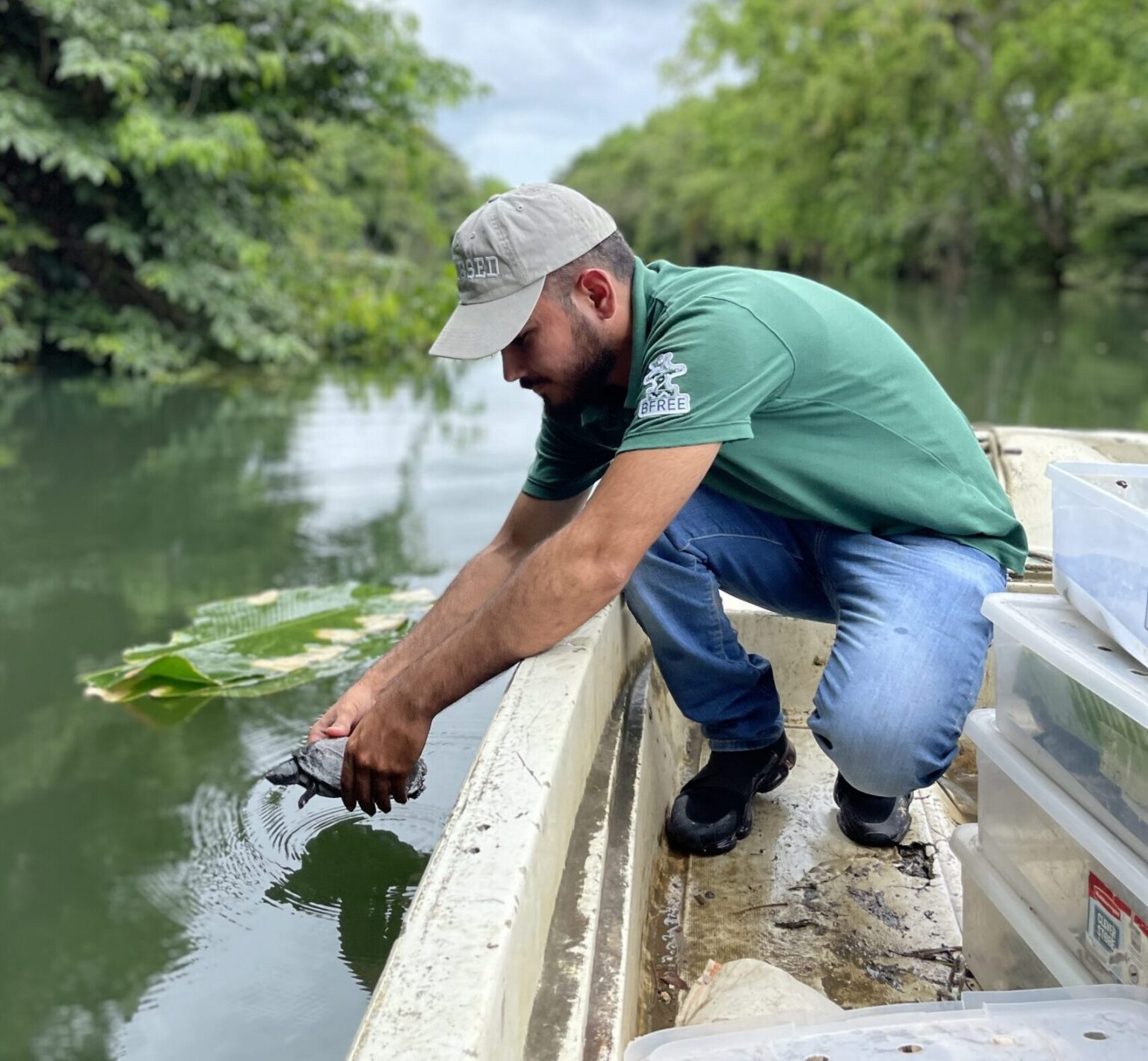 Turtle Month - Turtle Survival Alliance